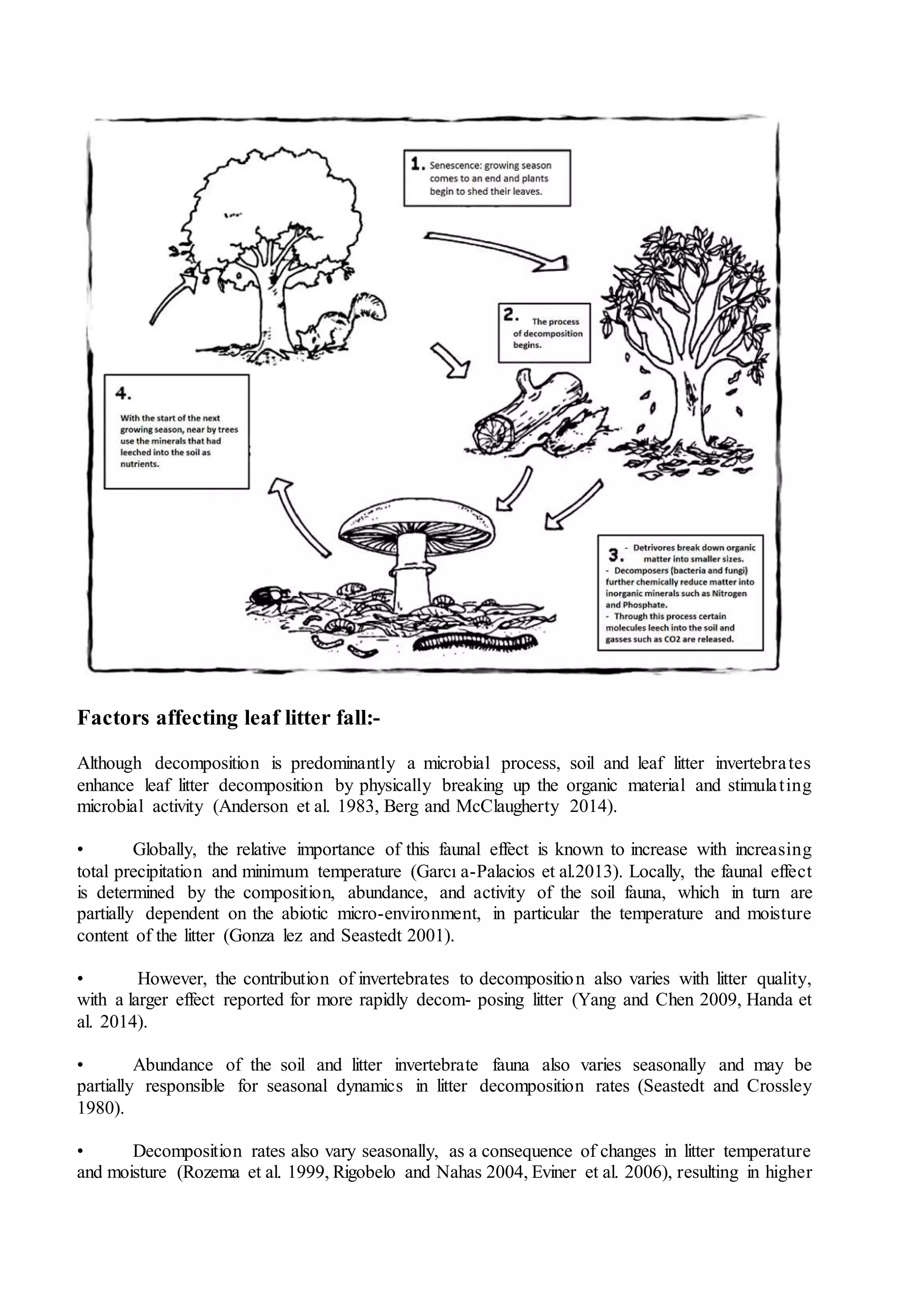 Leaf litter decomposition in agroforestry system | DOCX