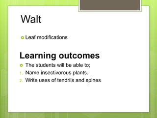 Leaf modification | PPTX | Gardening | Home & Garden