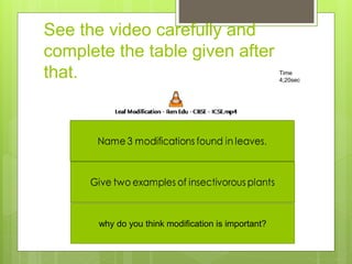 Leaf modification | PPTX | Gardening | Home & Garden