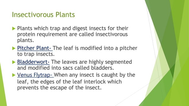 Leaf modification | PPTX | Gardening | Home & Garden
