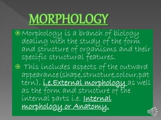 Leaf morphology | PPTX