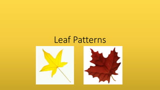 Leaf patterns | PPTX