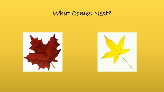 Leaf patterns | PPT