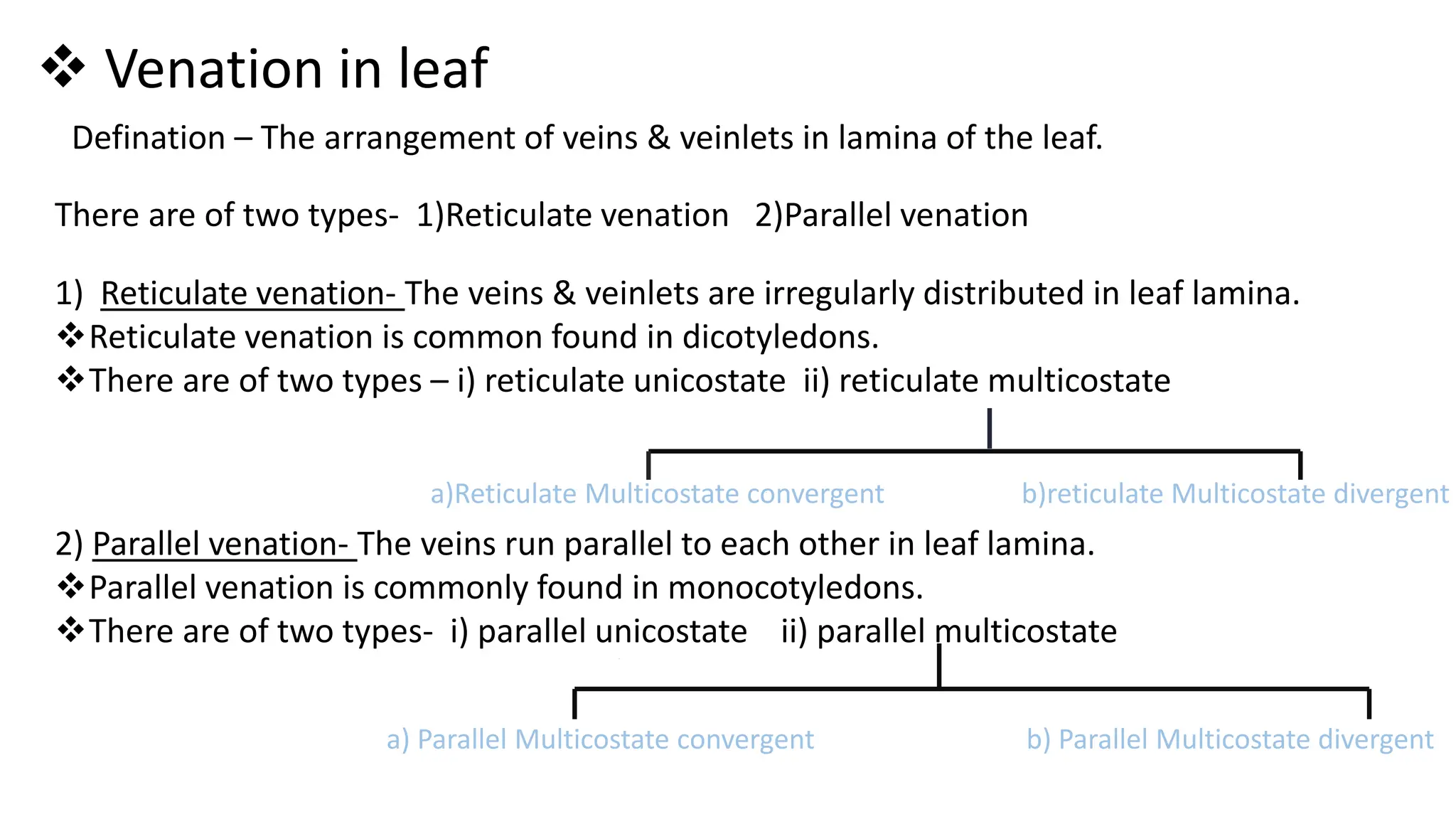 MORPHOLOGY OF LEAF pdf.pdf | Gardening | Home & Garden