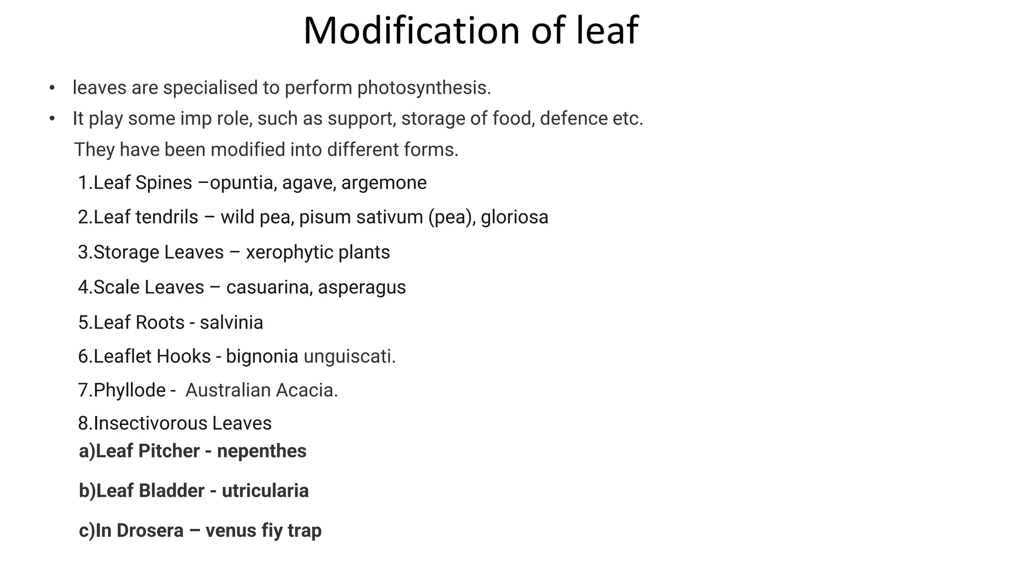 MORPHOLOGY OF LEAF pdf.pdf | Gardening | Home & Garden