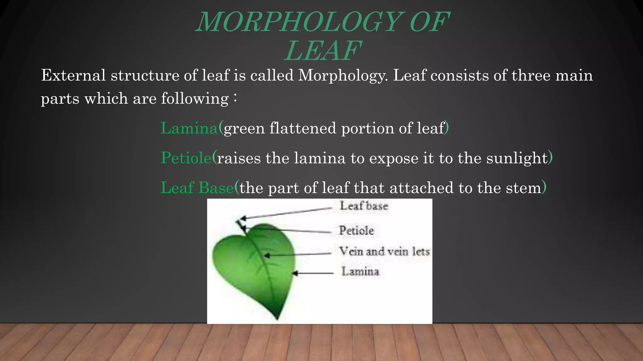 Leaf - Introduction,Structure of A Leaf | PPTX