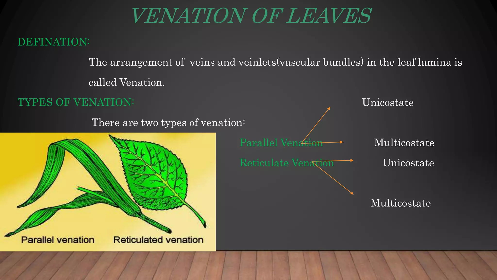 Leaf - Introduction,Structure of A Leaf | PPTX