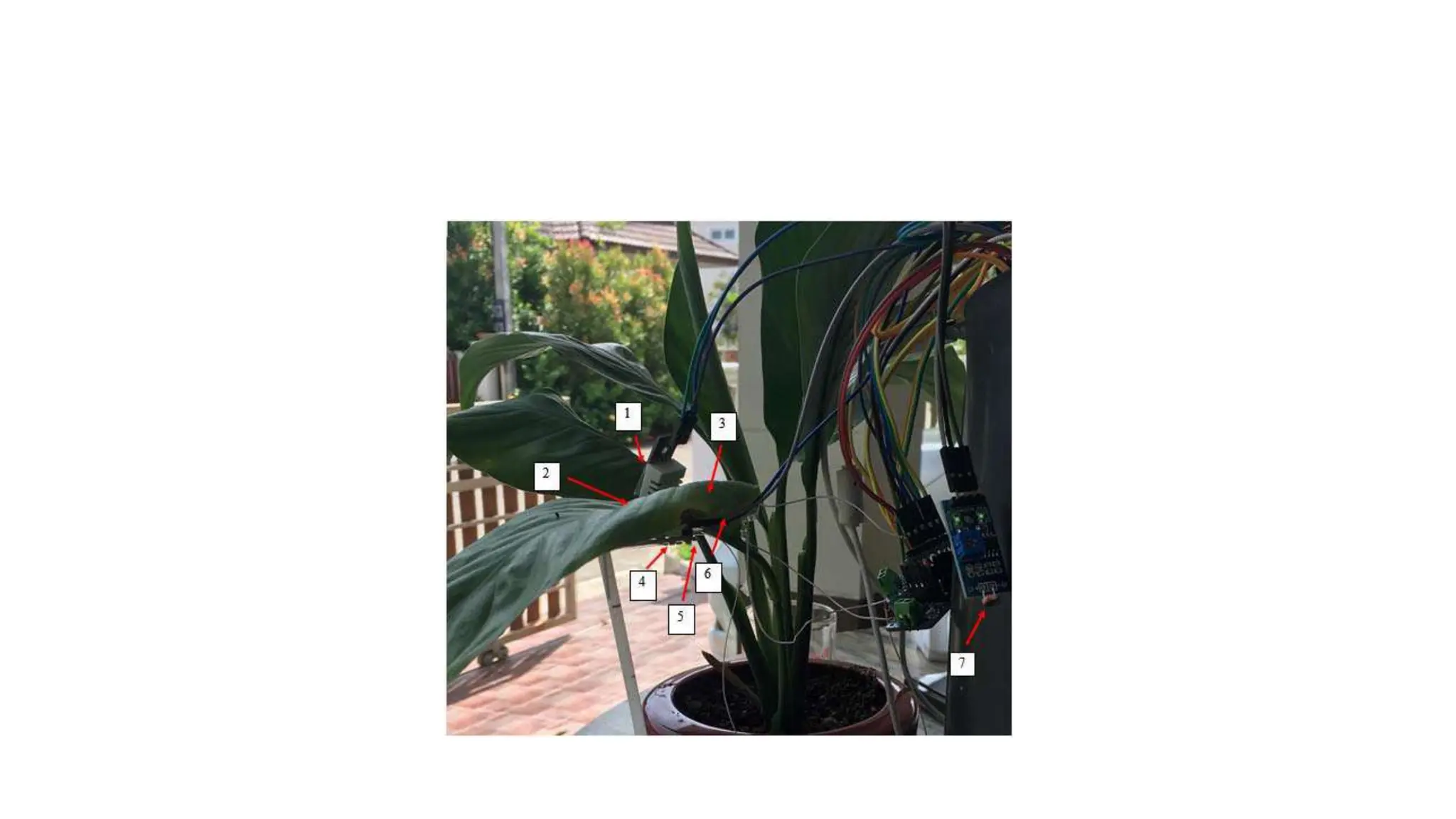 Leaf Sensor Berisikan Gambar Gambar Leaf Sensor1 Ppt