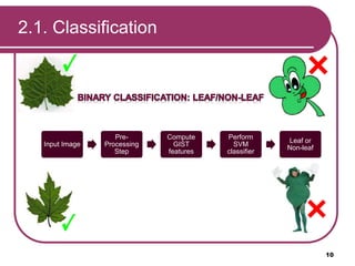 Leafsnap: classification | PPT