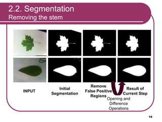 Leafsnap: classification | PPT
