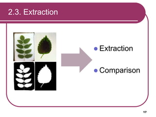 Leafsnap: classification | PPT