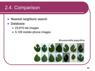 Leafsnap: classification | PPT