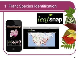 Leafsnap: classification | PPT