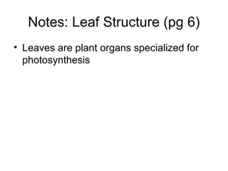 Leaf structure | PPT