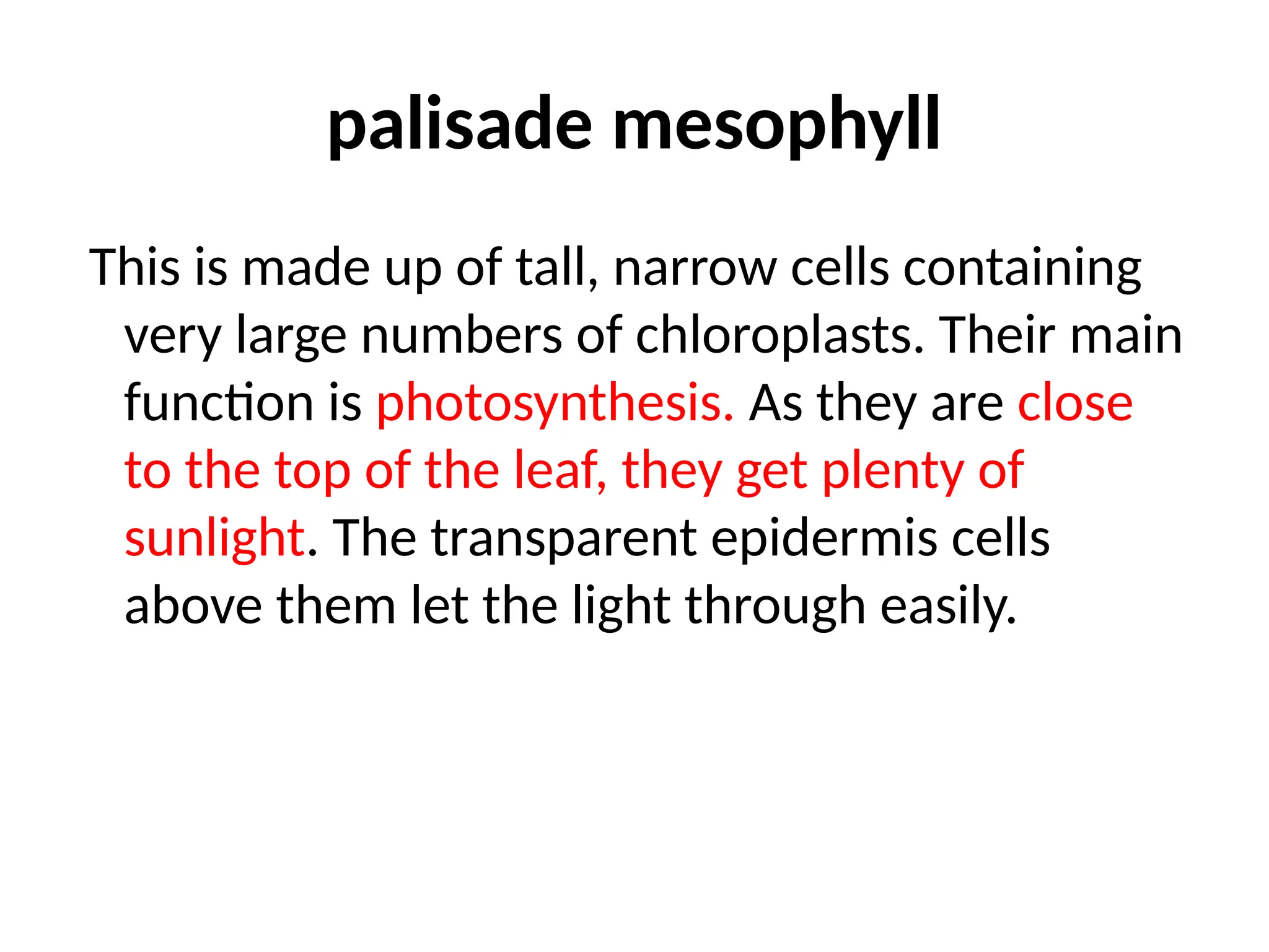 Biology, Photosynthesis, leaf structures.pptx