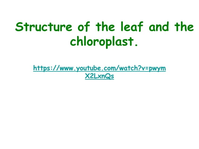 leaf structure and chloroplast.ppt