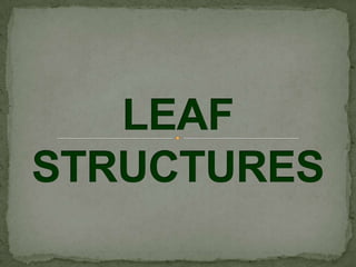Leaf structures | PPT