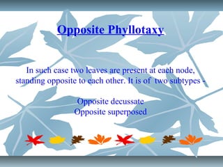 Leaf structures | PPT