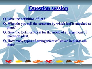 Leaf structures | PPT