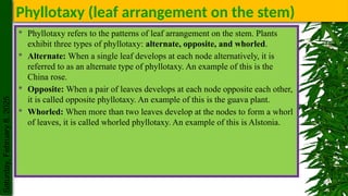types,function ,parts of angiospermic leaves .pptx