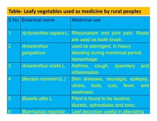 Leafy vegetables of chhattisgarh | PDF