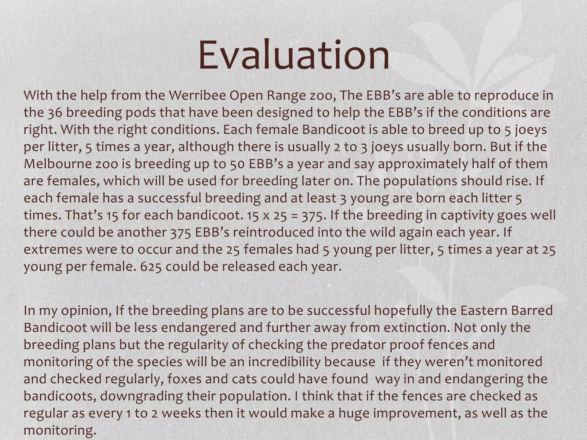 Eastern Barred Bandicoot - student presentation | PPTX | Zoos ...