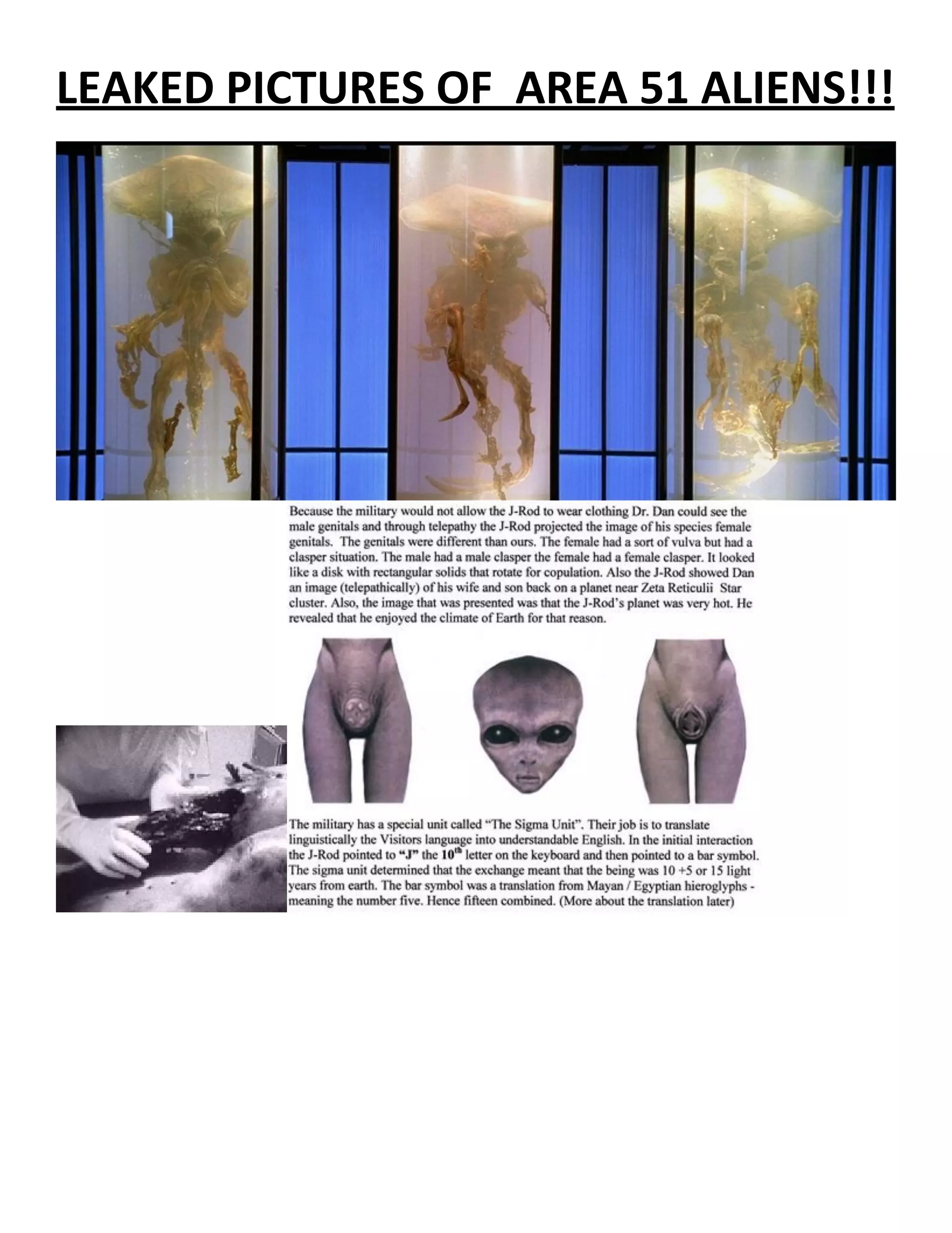 LEAKED PICTURES OF AREA 51 ALIENS!!!.pdf