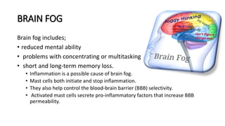 Leaky brain | PPT