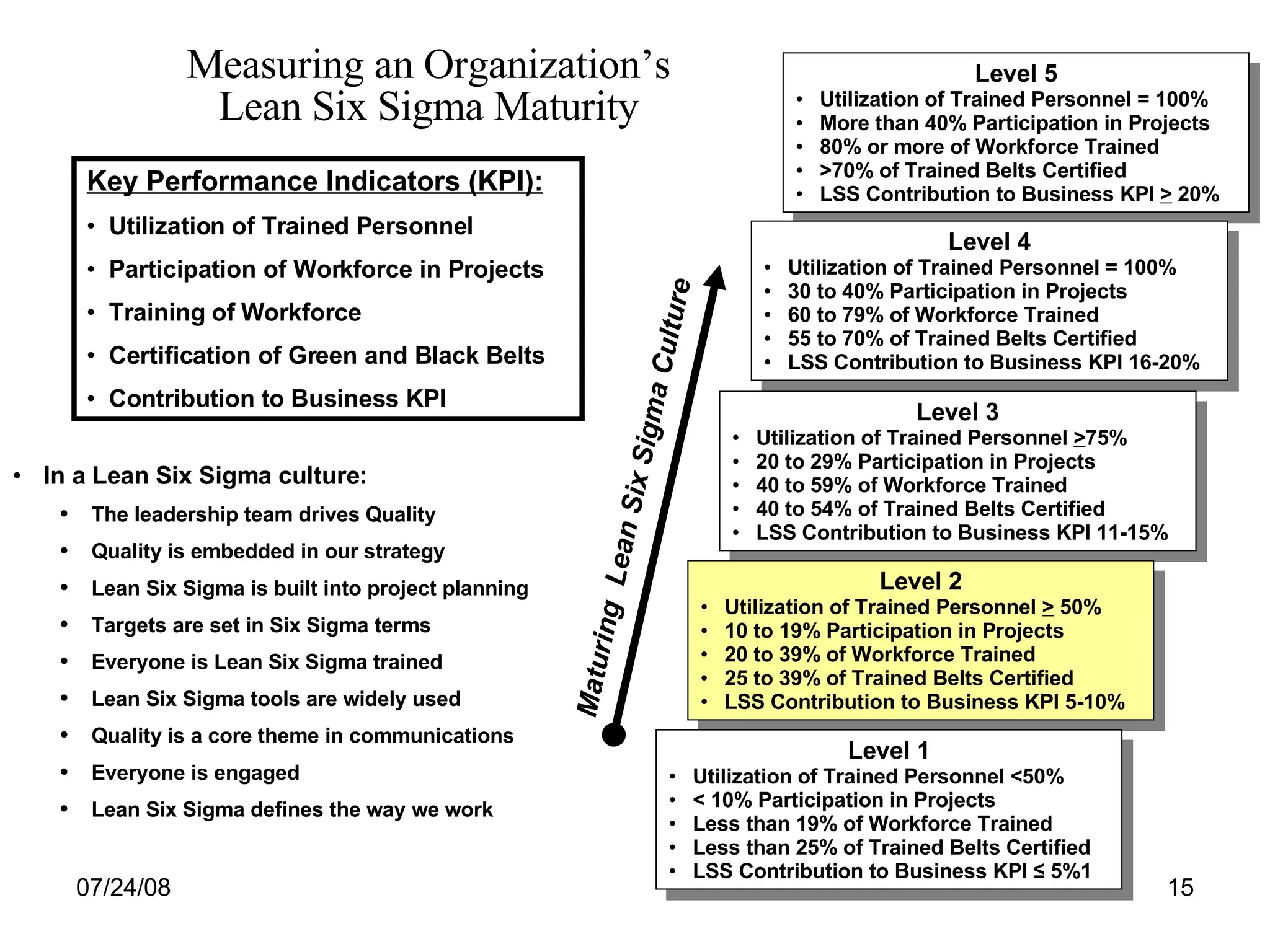 Lean Six Sigma Awareness Handouts | PPT