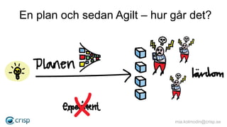 Lean UX i Agila Team | PPT