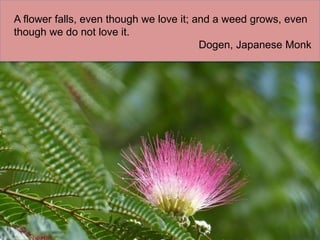 A Collection of Japanese Sayings | PPTX