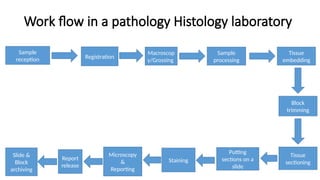 Lean process, reagents and Equipment in the Pathology Lab.pptx