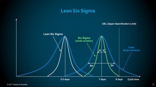 Lean Six Sigma | PPTX