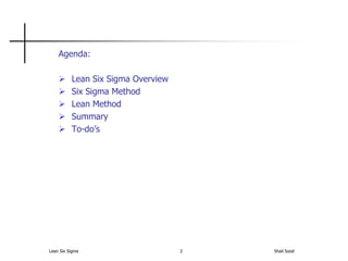 Lean Six Sigma 101 | PDF