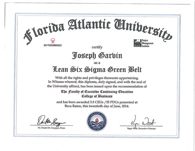 Lean Six Sigma Certificate | PDF