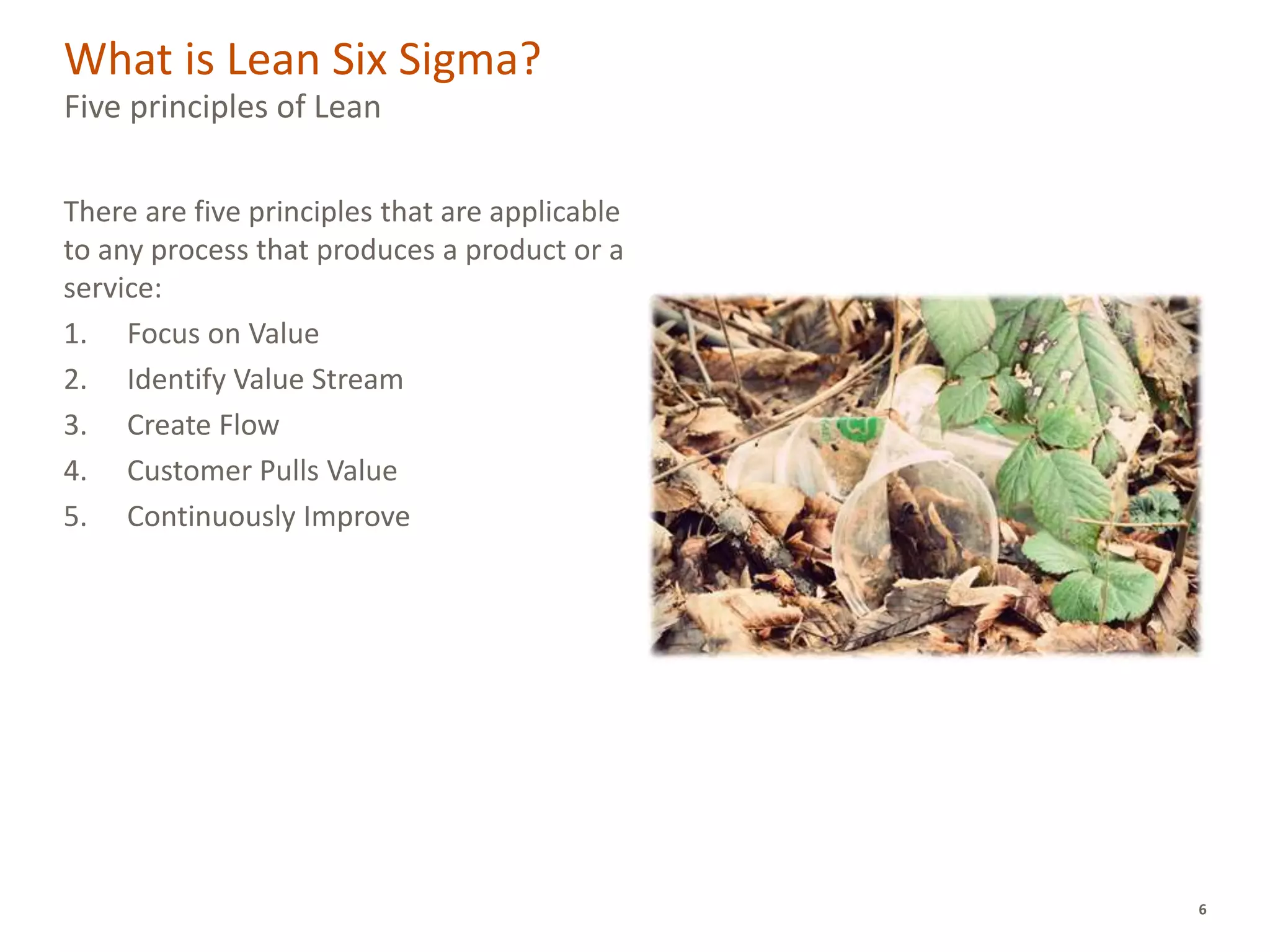 Lean Six Sigma Overview (print version) | PPT