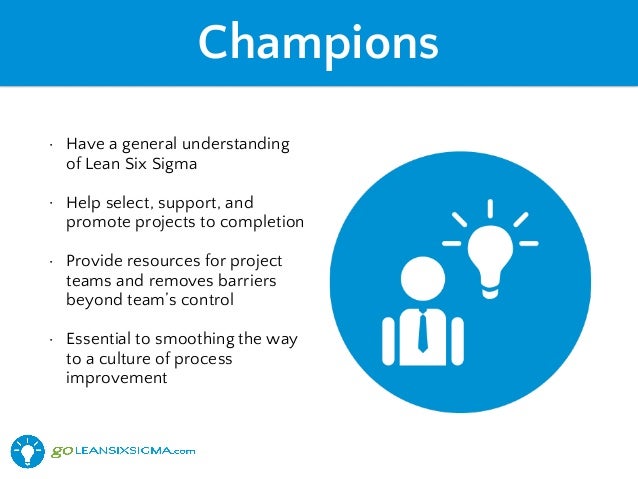 Lean Six Sigma Roles Goleansixsigmacom Lean Six Sigma Industry News