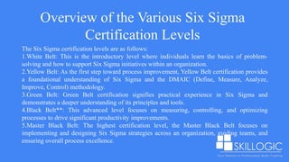 Lean Six Sigma Training Course in Indore. | PPT