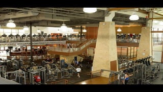 Lean Startup - Pivoting to Verticals | PDF