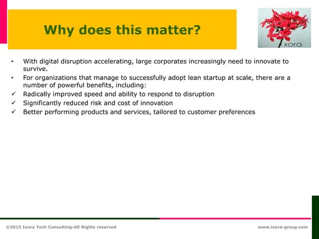 Lean Startup Consulting-Ixora | PPT