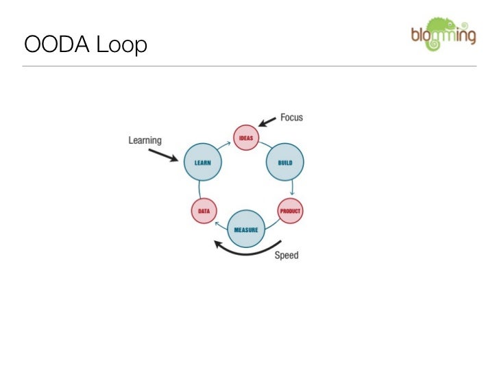 OODA Loop