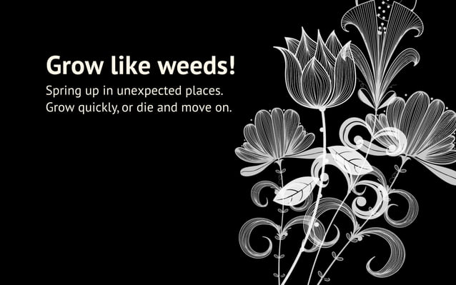 Lean startup principles i catapult | PDF | Internet for Beginners ...