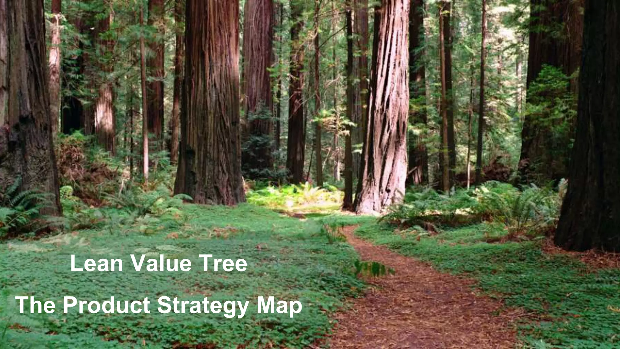 Lean Value Tree Overview | PDF