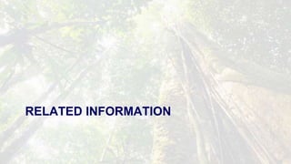 Lean Value Tree Overview | PDF