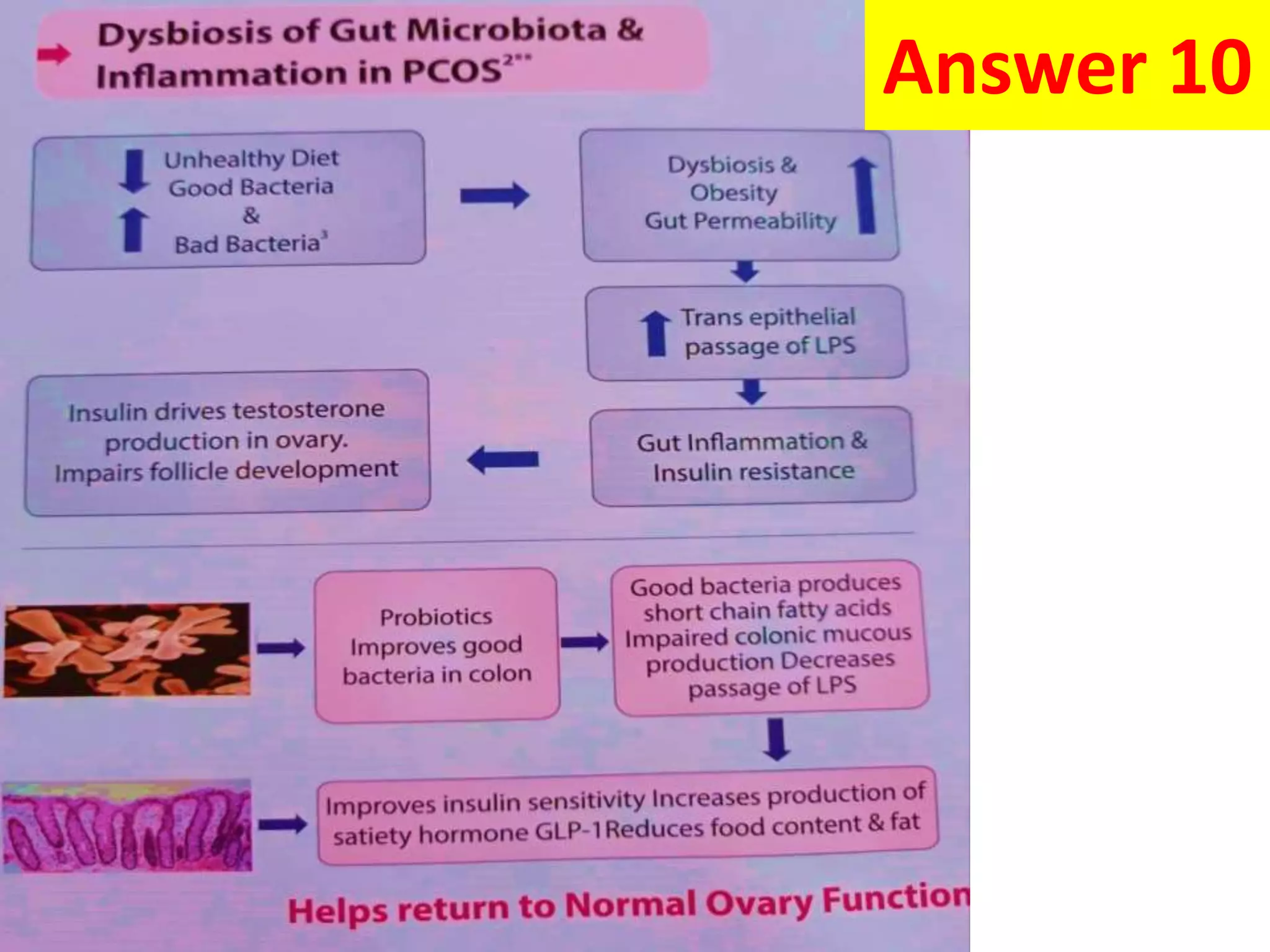 LEAN VS OBESE PCOS Myths & Facts Dr Sharda Jain & Dr Jyoti Agarwal | PPTX