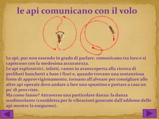 Le api | PPSX