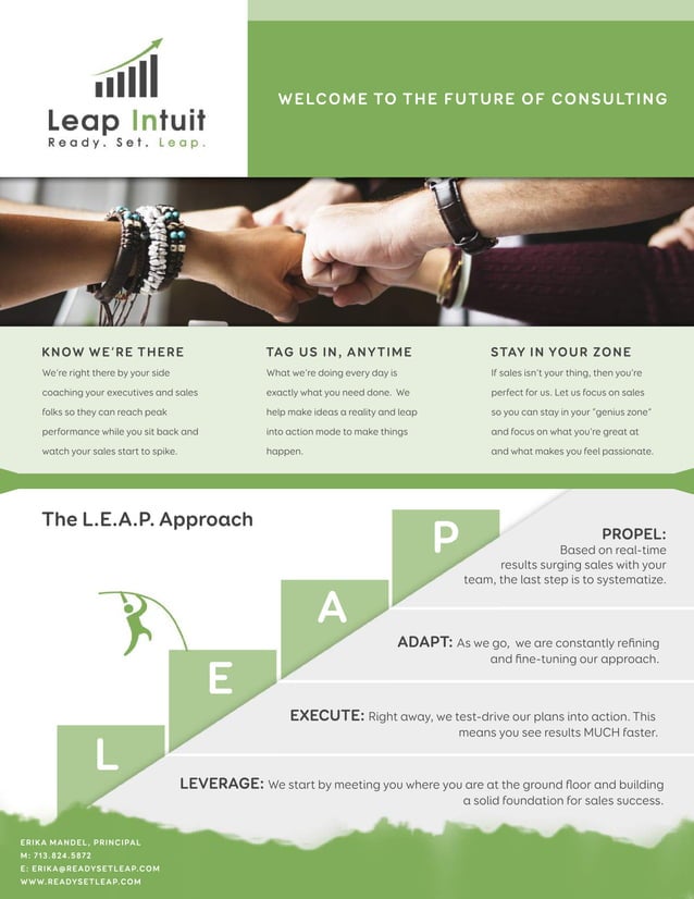 Leap Intuit - What We Do | PDF