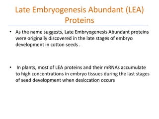 LEA(late embryogenesis abundant) protiens and heat shock | PPTX
