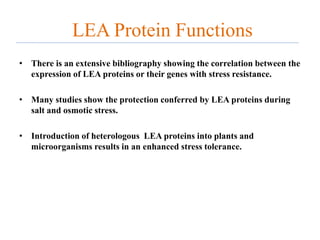 LEA(late embryogenesis abundant) protiens and heat shock | PPTX
