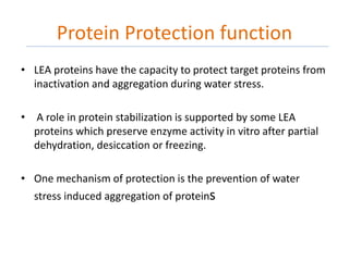LEA(late embryogenesis abundant) protiens and heat shock | PPTX